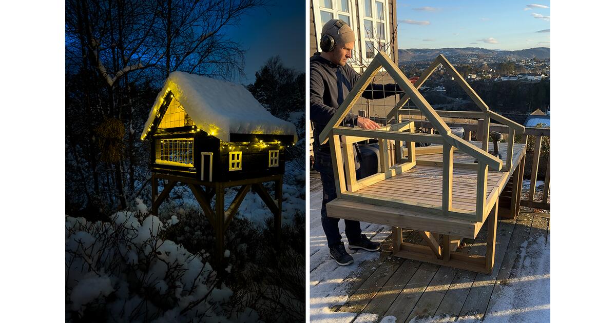 DIY Fuglehus type STORT! | Maxbo