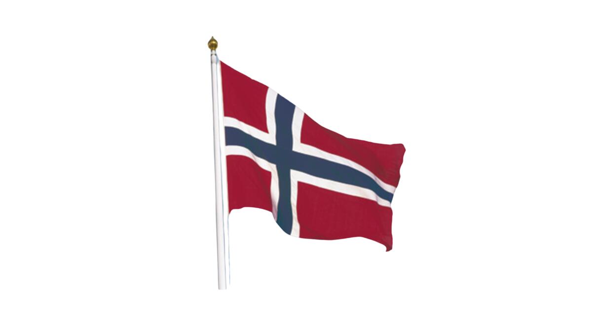 Oslo Flaggfabrikk Flagg norge 100cm | Maxbo